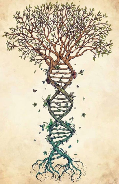 The Awakening – A Vision of the Tree of Life – Eugene Samolin